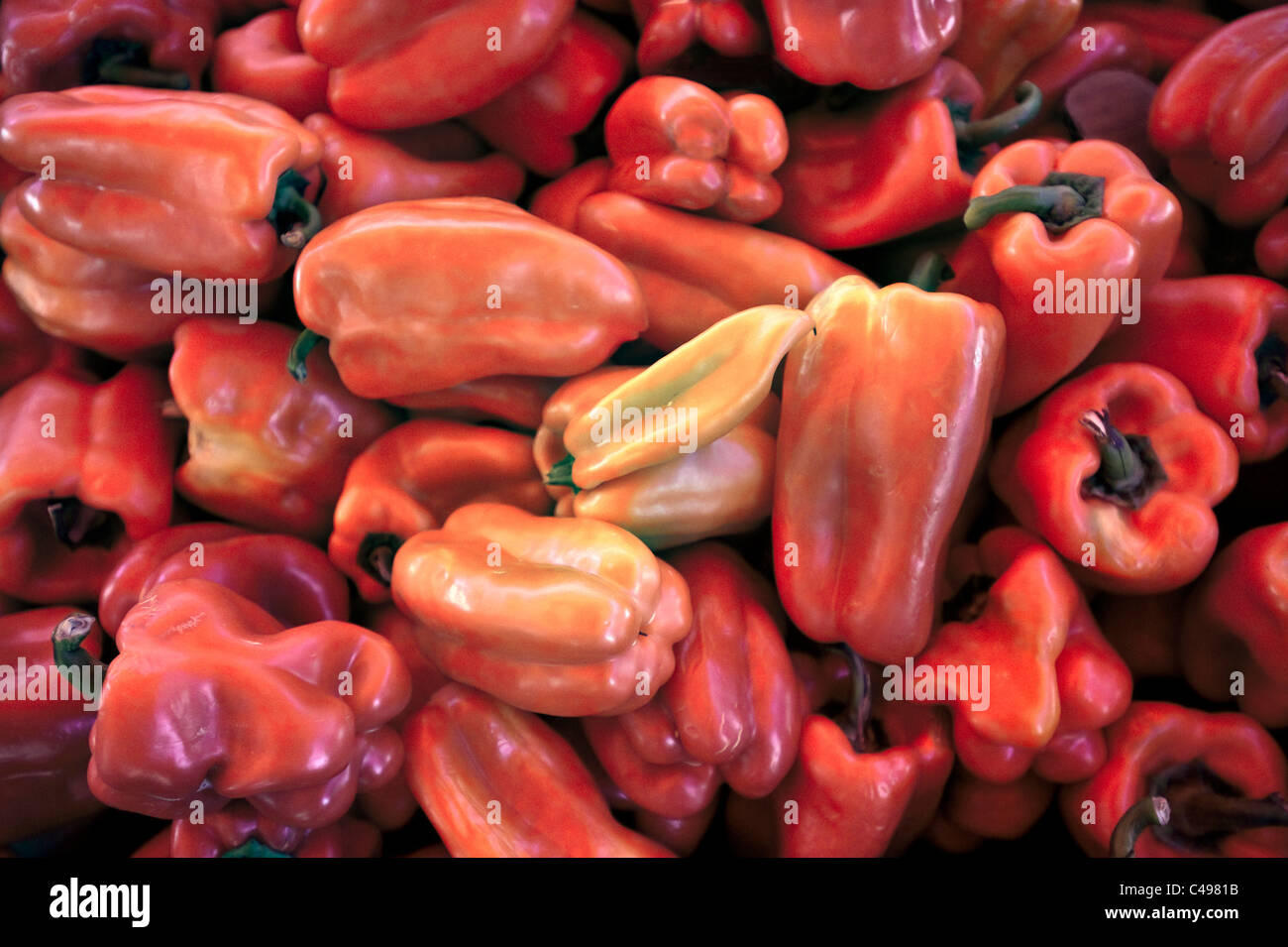 Red peppers bunch hi-res stock photography and images - Alamy