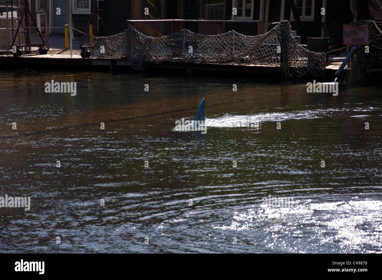 Jaws The Ride No Water Universal Studios' Jaws: The Fintastic Inside ...