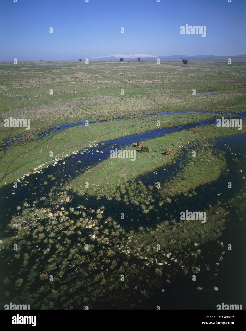 Aerial photograph of the northern Golan Heights Stock Photo - Alamy