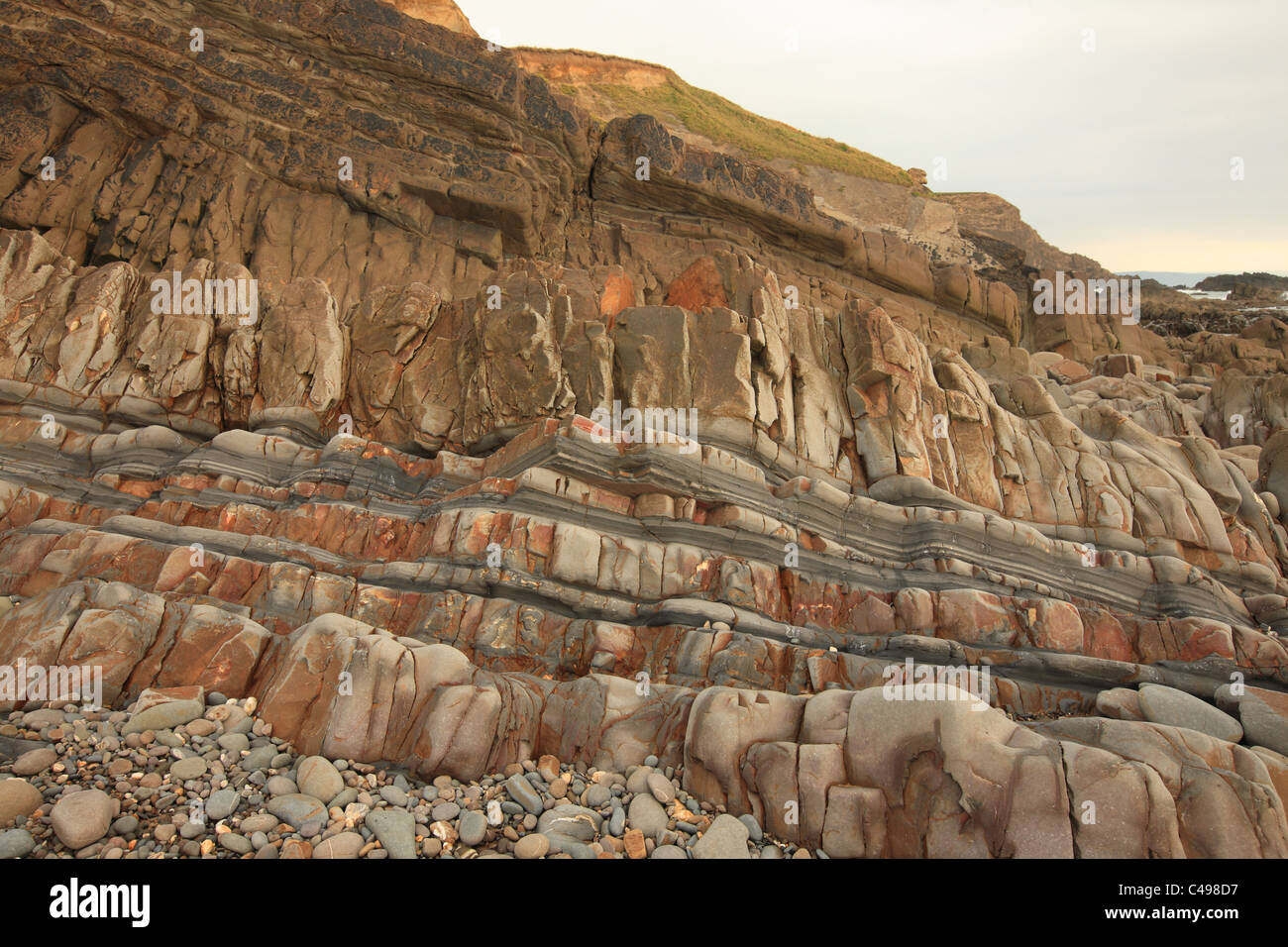 Sandstone rock strata in cliffs at Northcott Mouth, North Cornwall ...