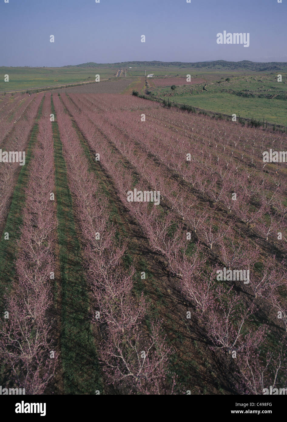 Aerial photograph of the Agriculture fields of the village of Merom ...