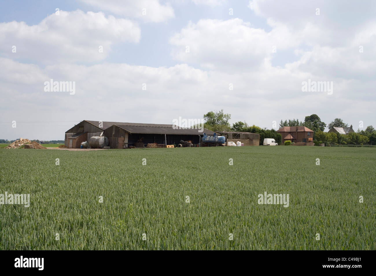 barns at tinkleys farm lincolnshire Stock Photo - Alamy