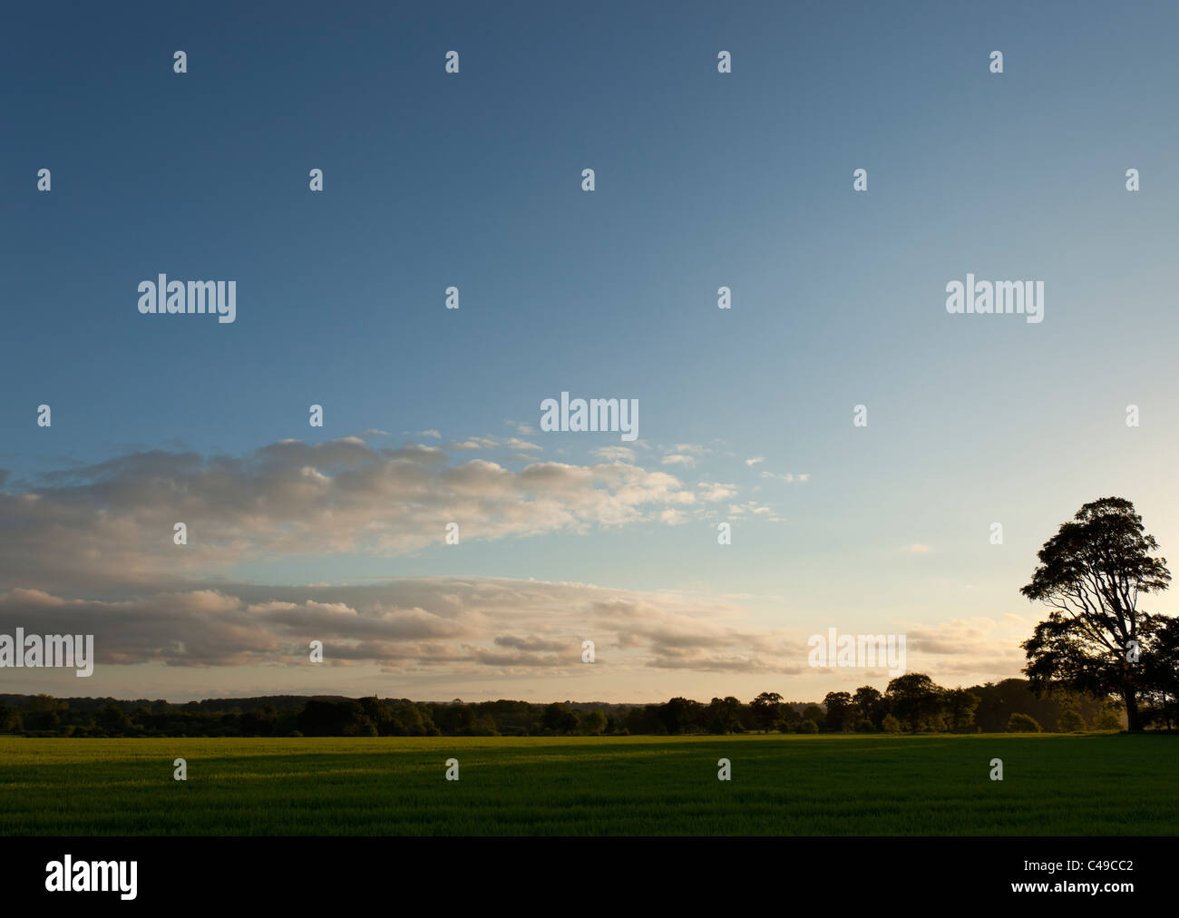 Typical norfolk spring hi-res stock photography and images - Alamy