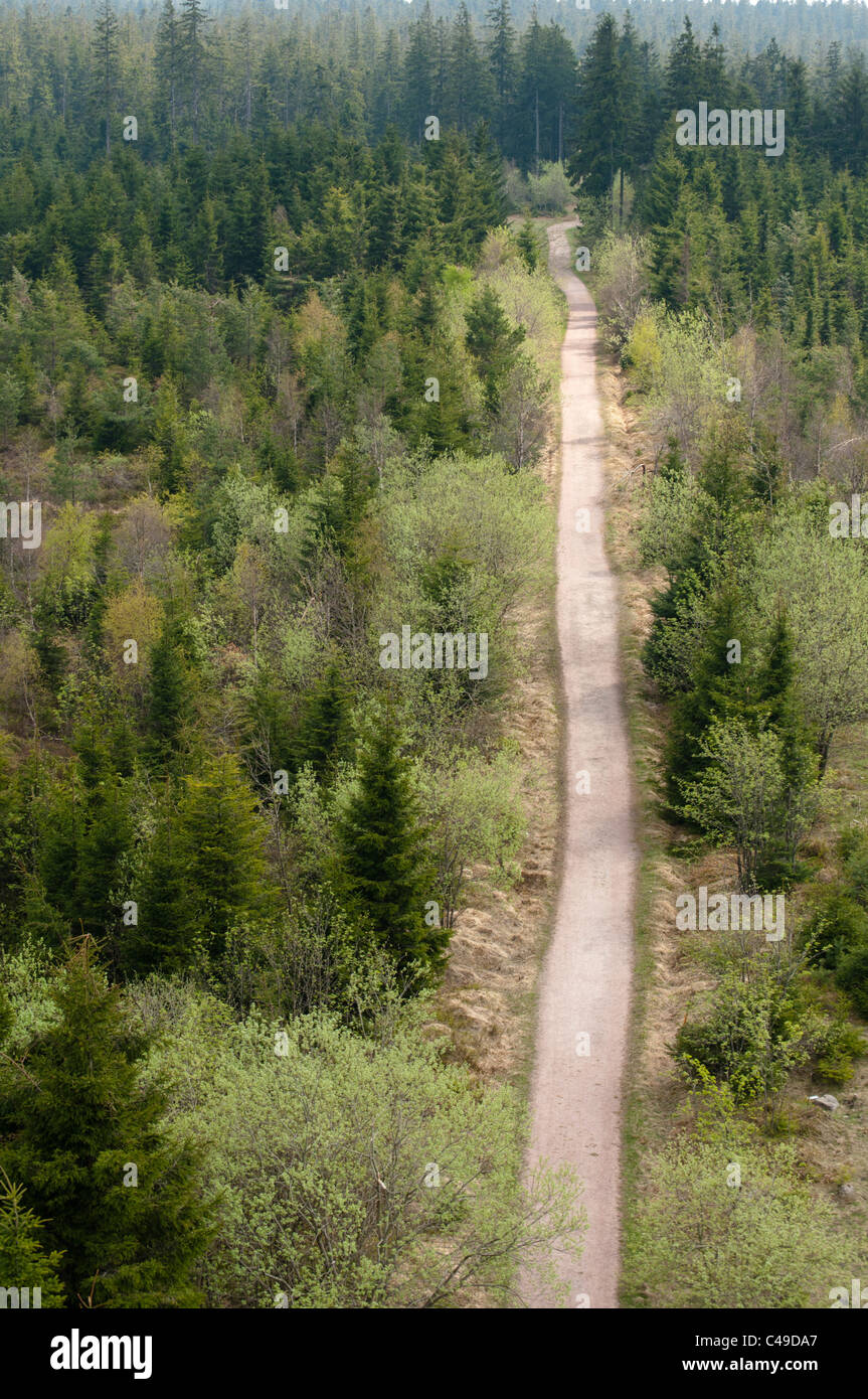 High moor area Kaltenbronn, view from the Hohloh tower, Gernsbach ...