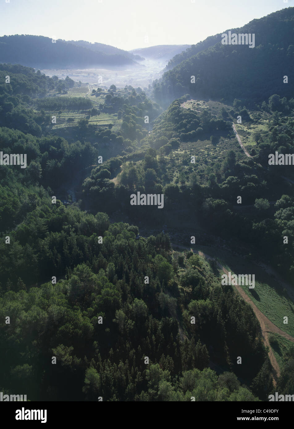 Aerial view of the Carmel forest Stock Photo - Alamy