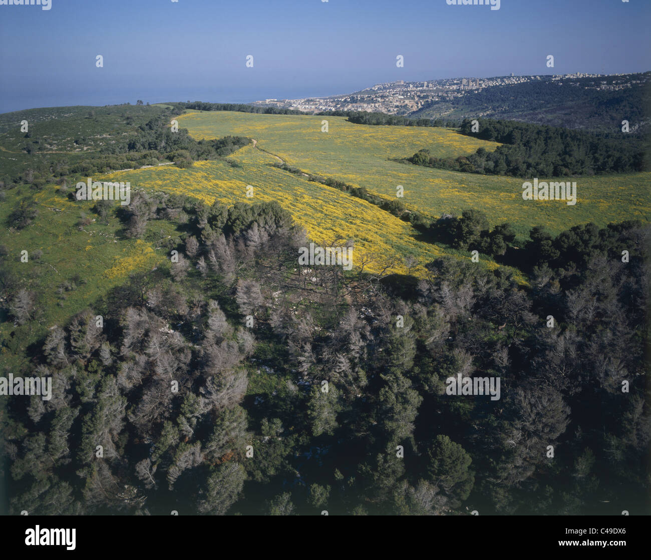 Aerial photograph of the Carmel ridge Stock Photo - Alamy
