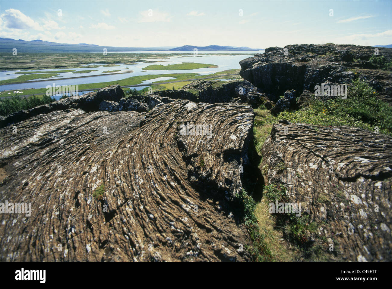 Abstract view of a swamp in Iceland Stock Photo - Alamy