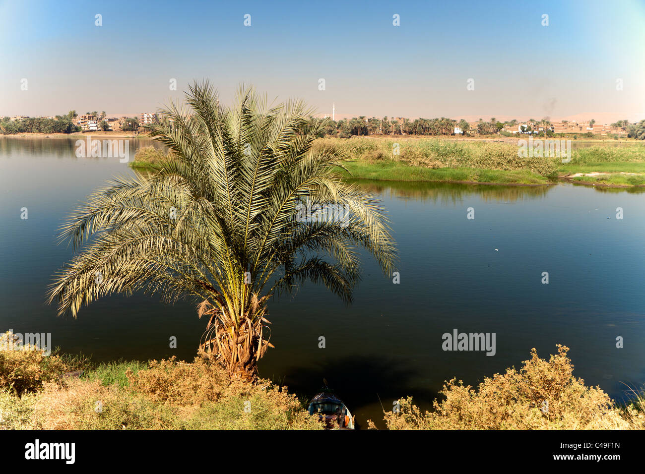 Palm tree dominates the banks of the River Nile at Luxor Stock Photo ...