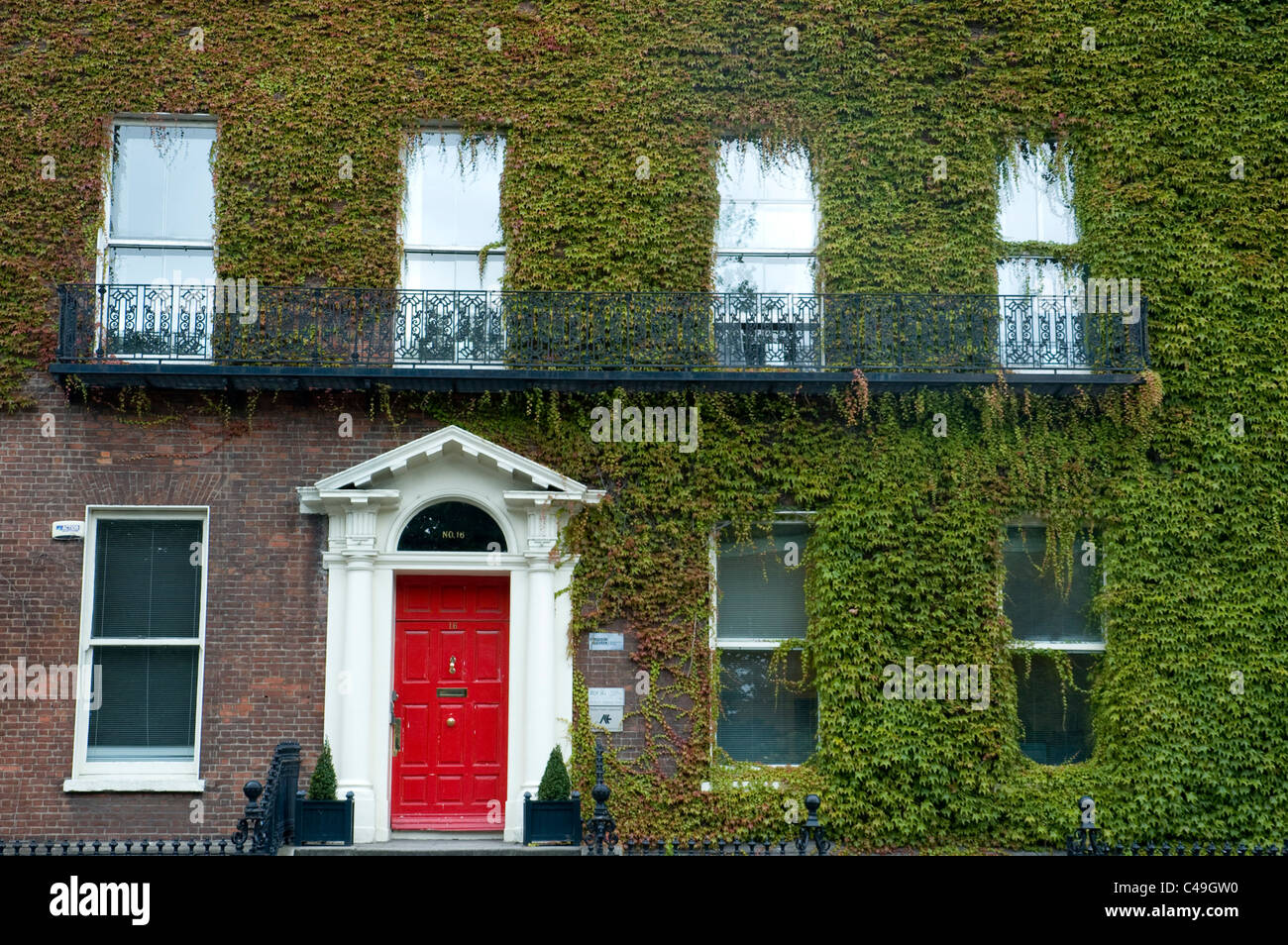 Photograph of a building covered with climber plant in Ireland Stock ...