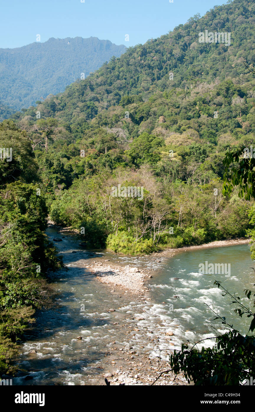 River Alas, Ketambe, Gunung Leuser National Park, north Sumatra ...