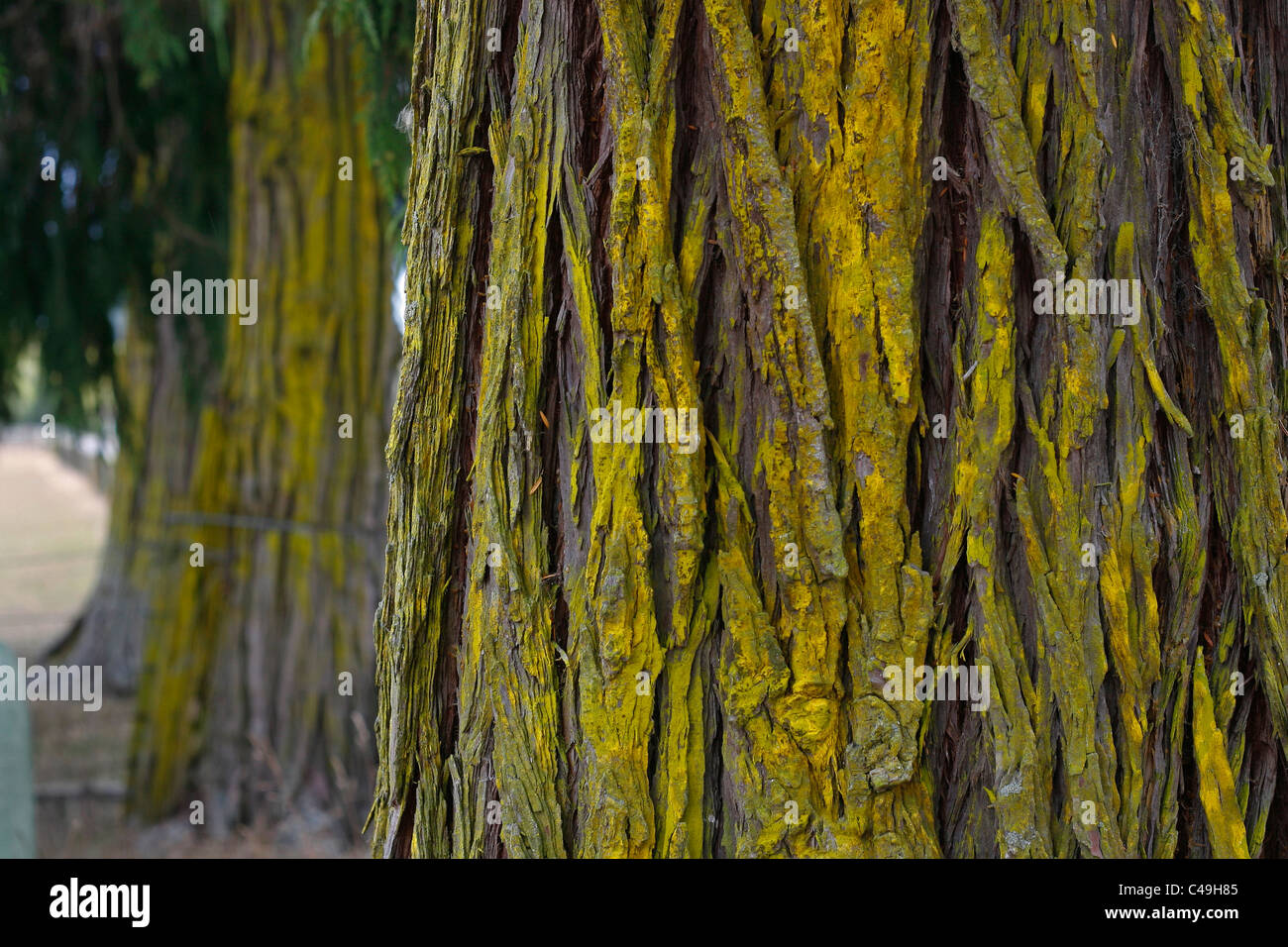 The moutere hi-res stock photography and images - Alamy