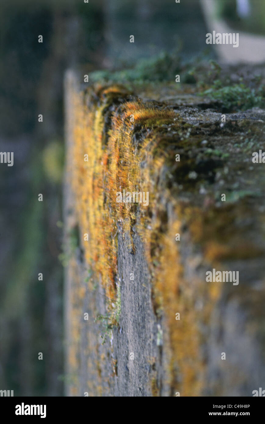 Film street corner hi-res stock photography and images - Alamy