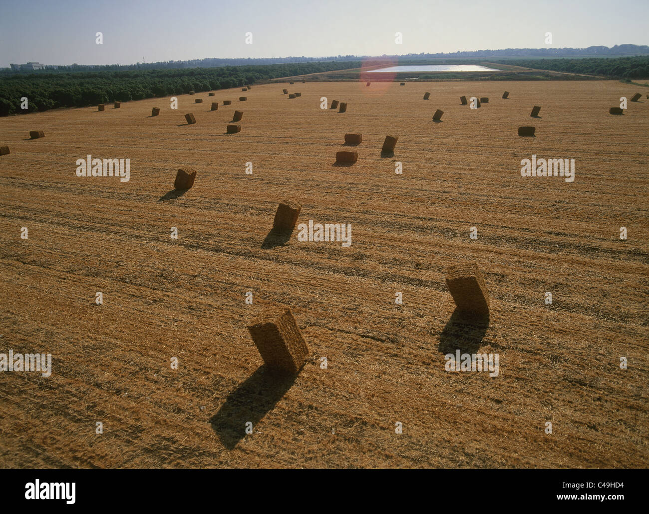 Aerial photograph of a wheat field after harvest in the Jezreel valley ...