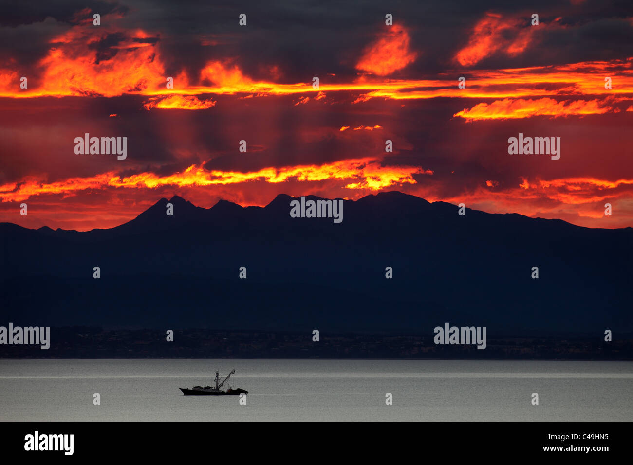 trawler approaching Nelson, New Zealand with glorious sunset in the ...