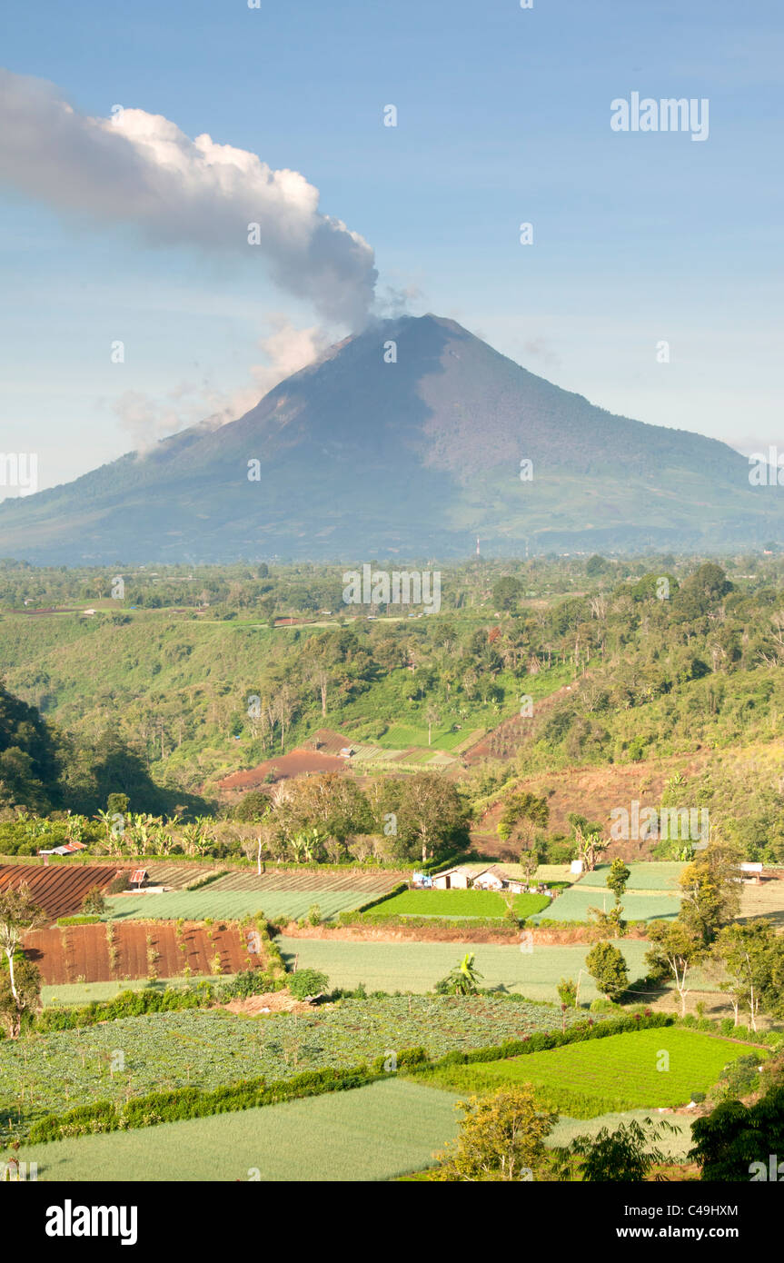 Mount Sinabung volcano, north Sumatra, Indonesia Stock Photo - Alamy
