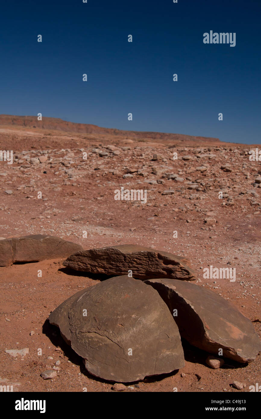 Fossilized Dino Droppings Stock Photo - Alamy