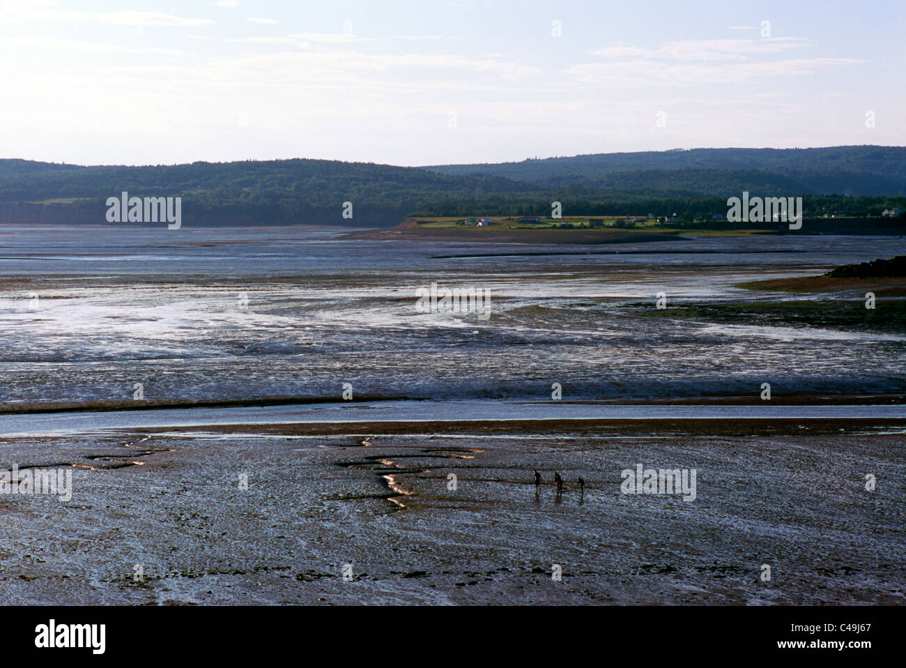 Bay of Fundy, Nova Scotia, Canada - Tidal Flats at Low Tide in Minas Basin at Five Islands, NS ...