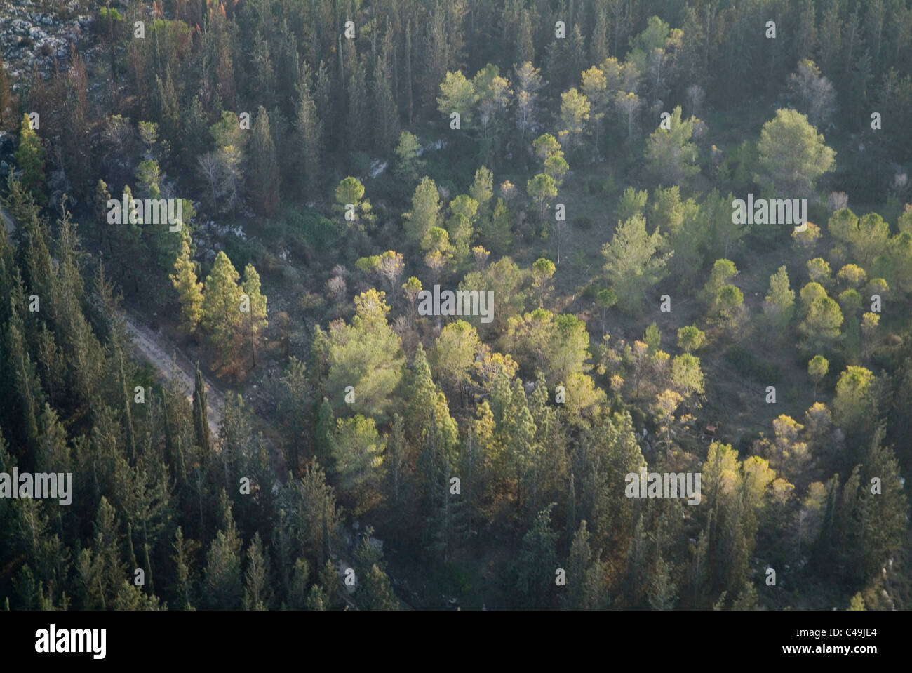 Aerial photograph of a forest in the Jerusalem mountains Stock Photo ...