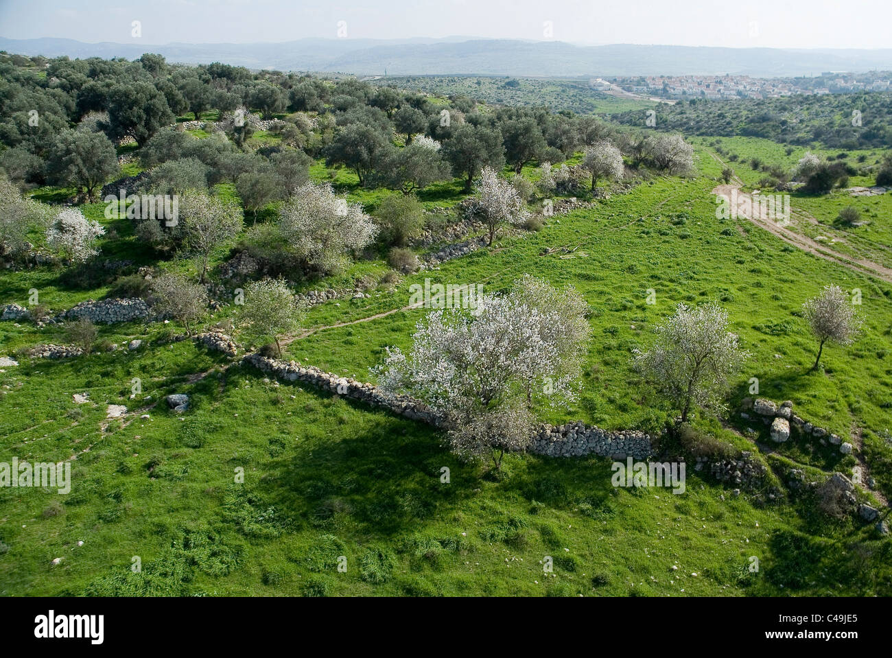 Aerial photograph of a forest in the Jerusalem mountains Stock Photo ...