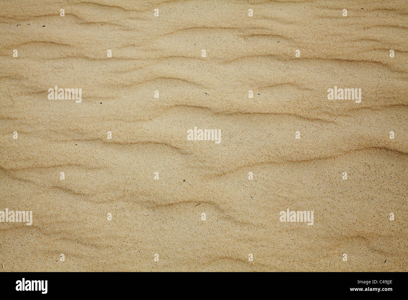 Sand ripples, Henty Dunes, Strahan, Western Tasmania, Australia Stock ...