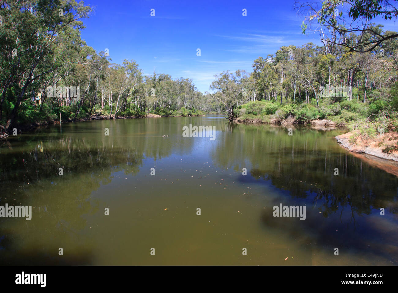 Jarrah forest hi-res stock photography and images - Alamy