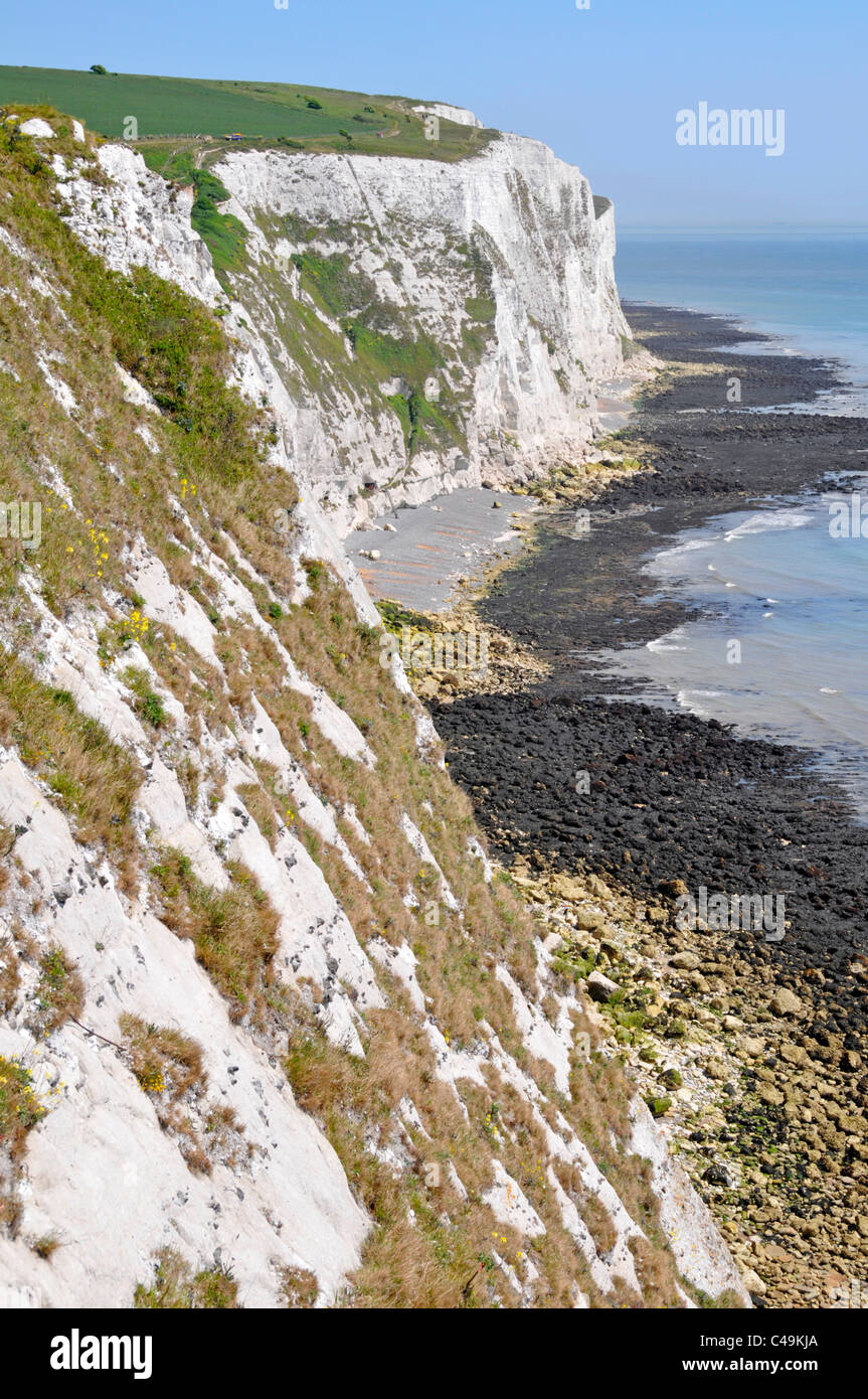 White Cliffs of Dover part of the North Downs facing the English ...