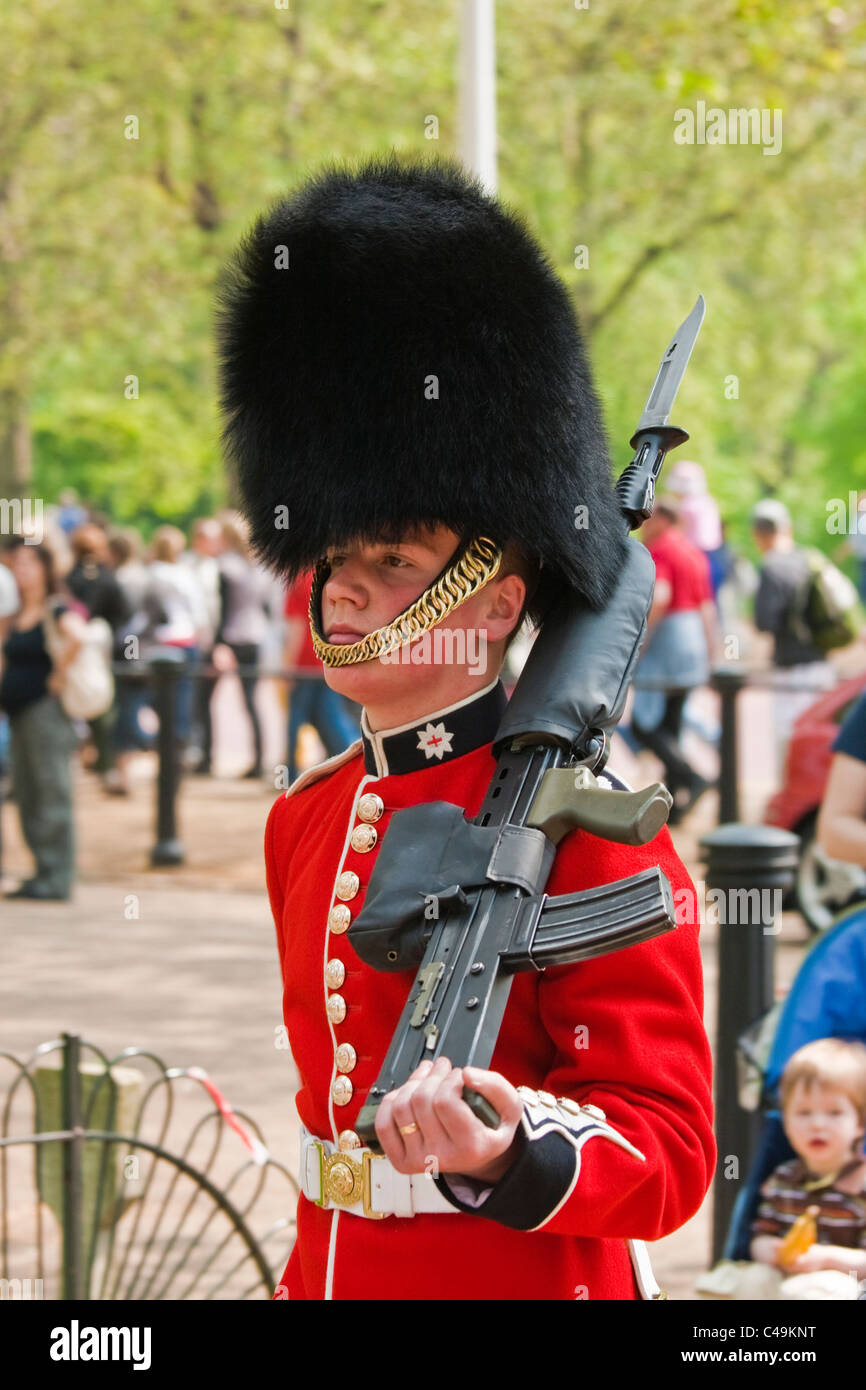 Coldstream guardsman hi-res stock photography and images - Alamy