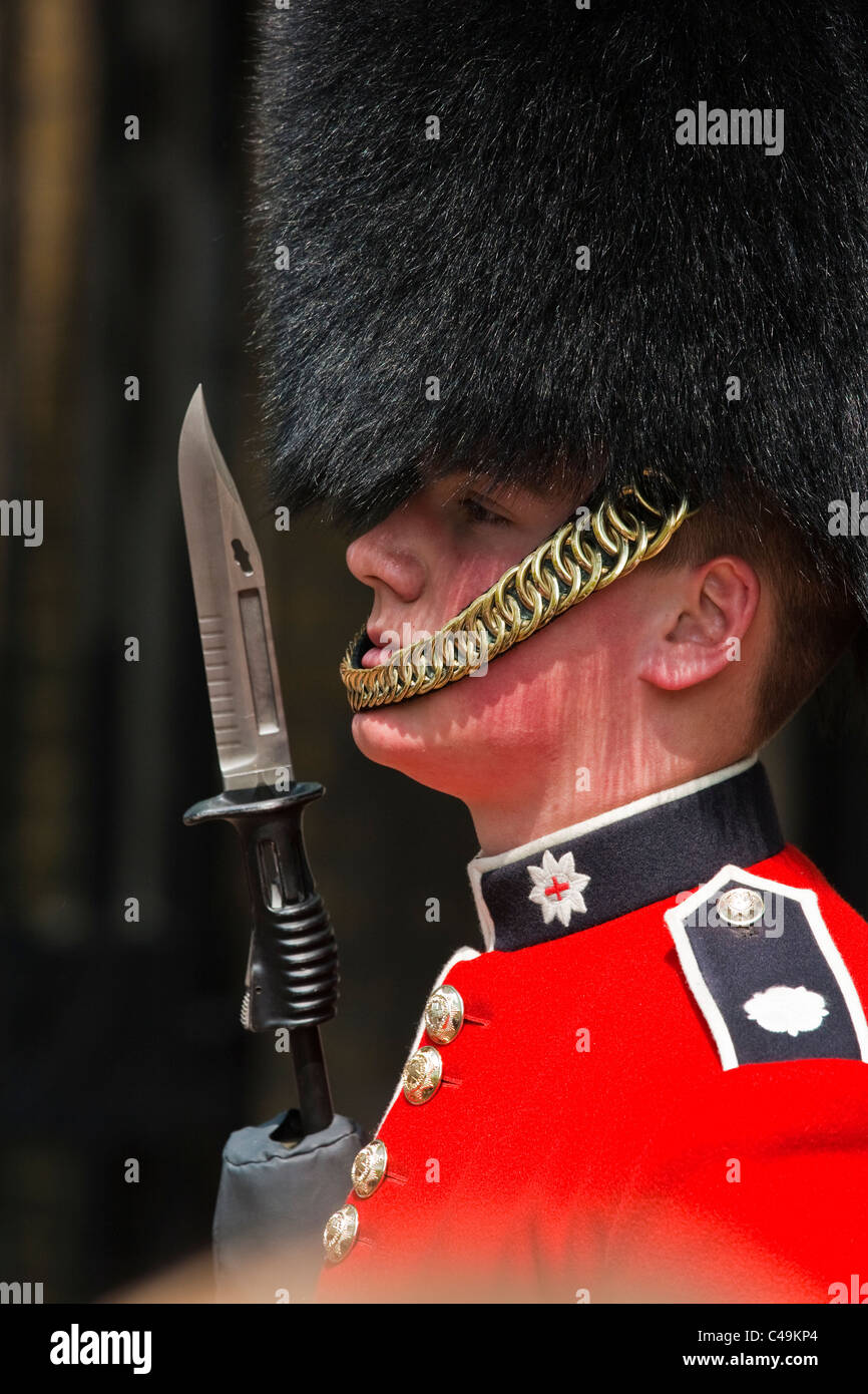 Coldstream guardsman on sentry duty outside Clarence house Stock Photo ...