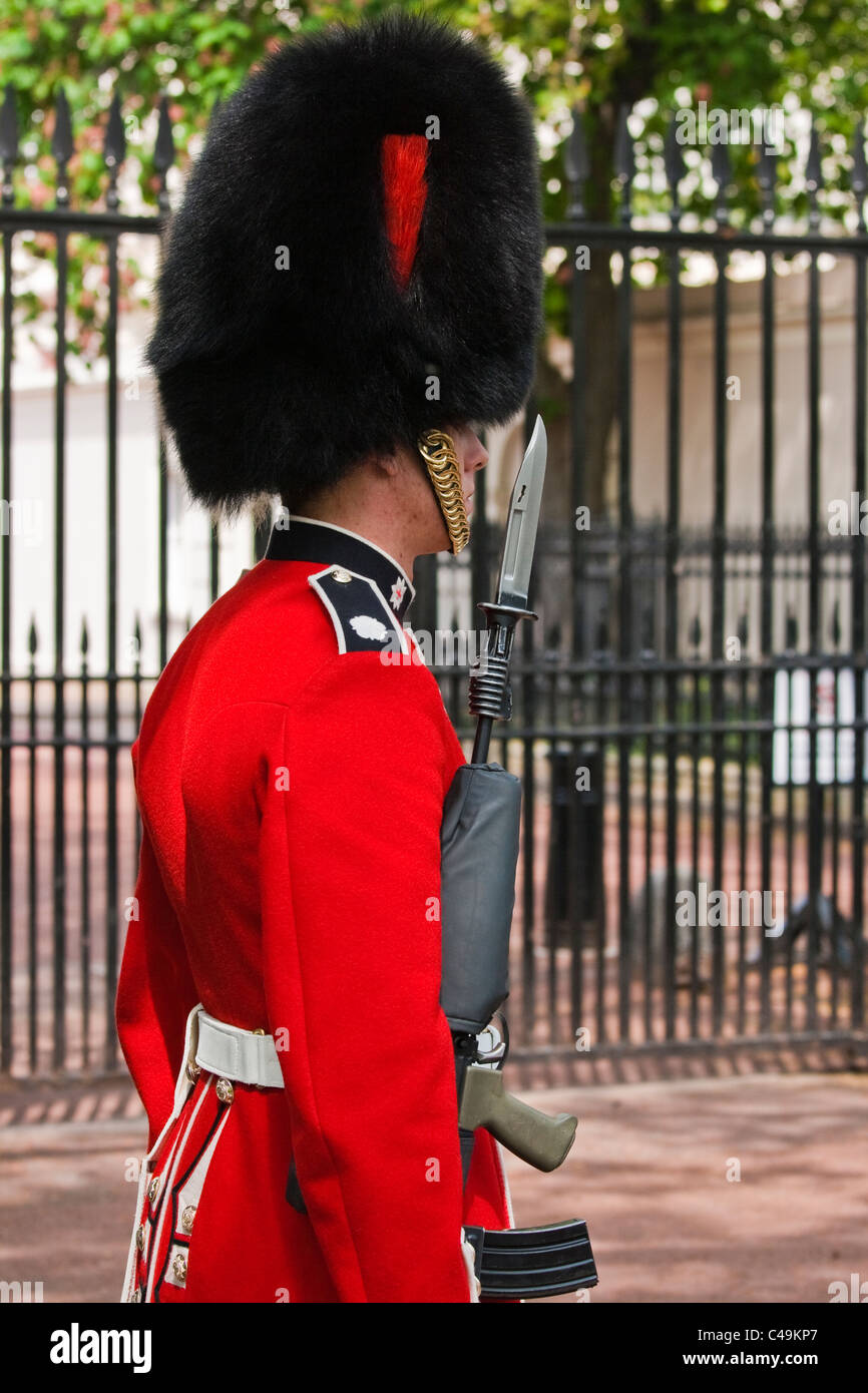 Coldstream guardsman hi-res stock photography and images - Alamy