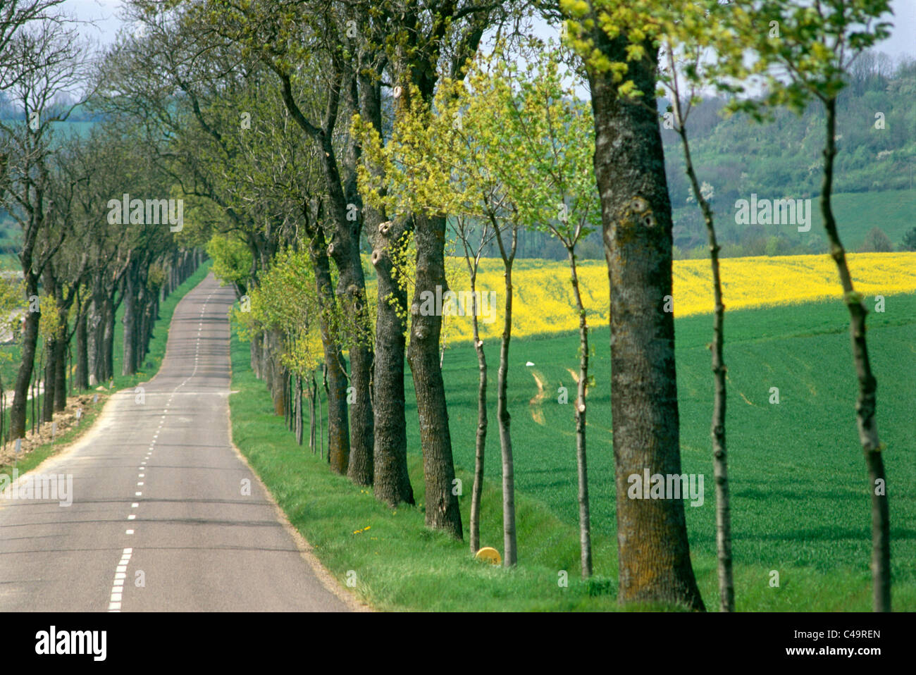 Photograph of a country-side road in Spain Stock Photo - Alamy