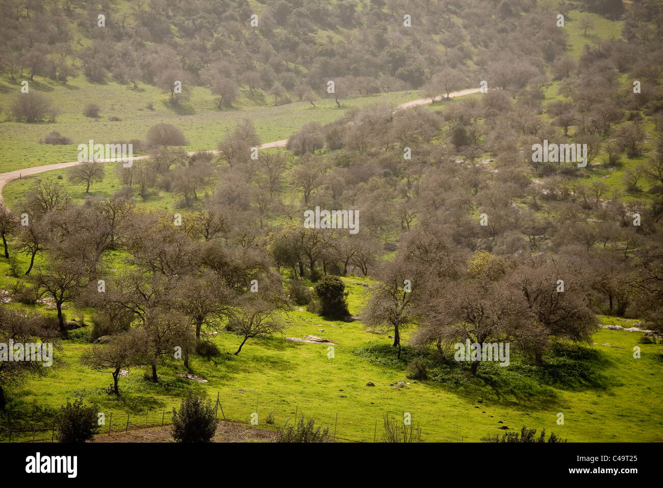 Aerial photograph of the landscape of the lower Galilee Stock Photo - Alamy