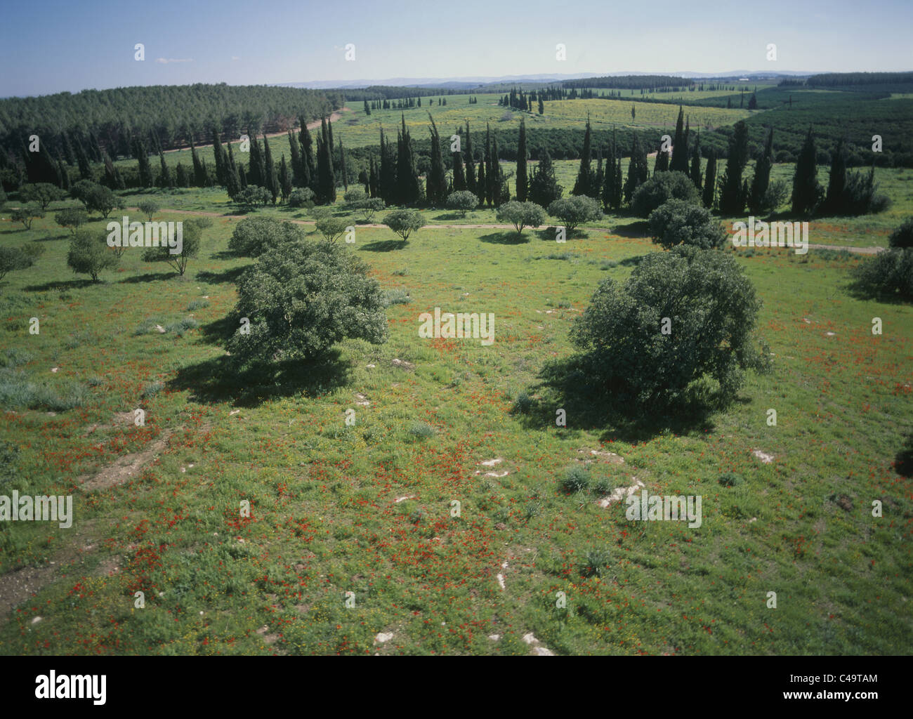 Aerial photograph of the landscape of the Lower Galilee Stock Photo - Alamy