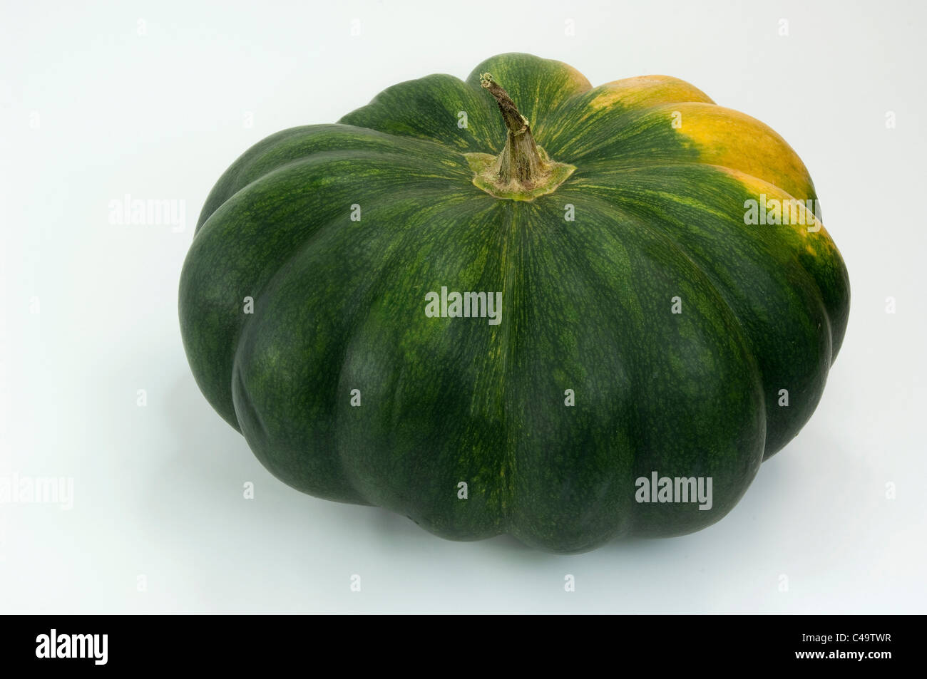 Cucurbita moschata hi-res stock photography and images - Alamy