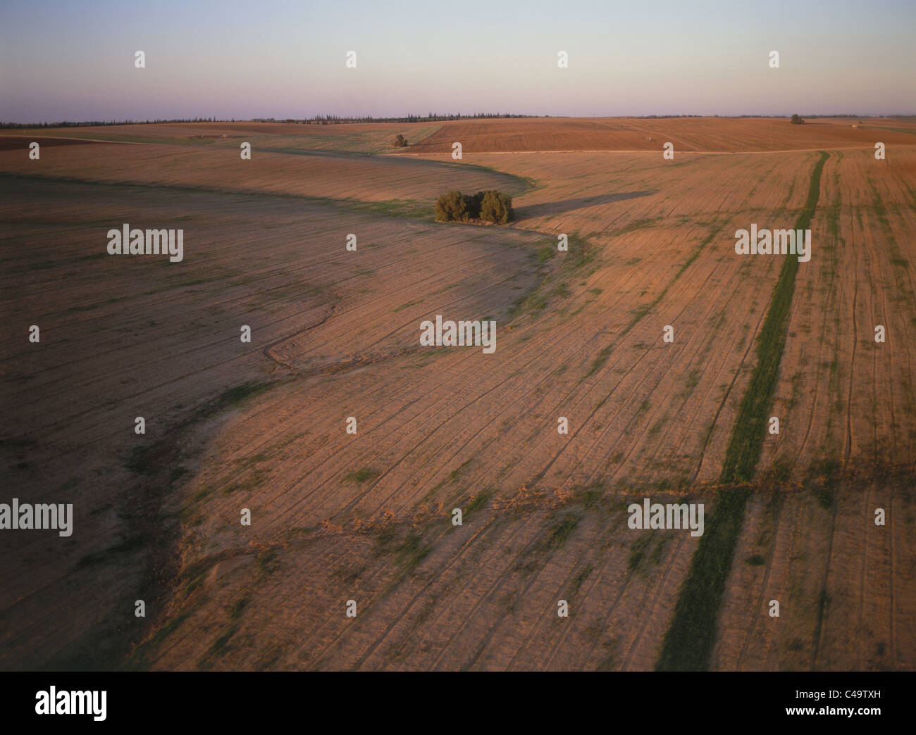 Aerial photograph of the Agricultre fields of the Northern Negev Desert ...