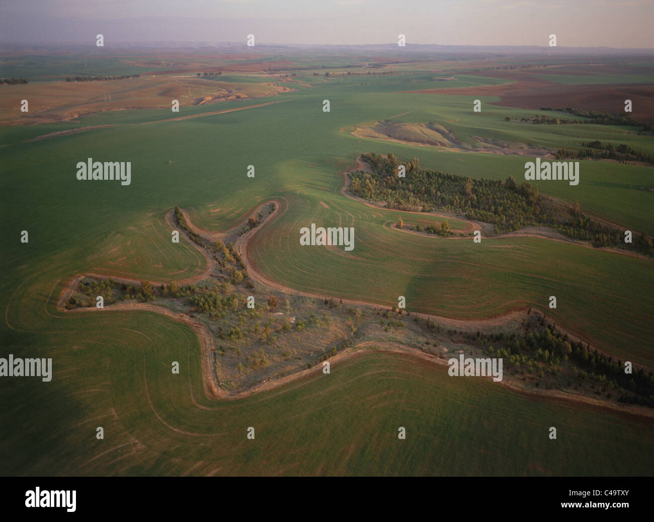 Aerial photograph of the Agricultre fields of the Northern Negev Desert ...
