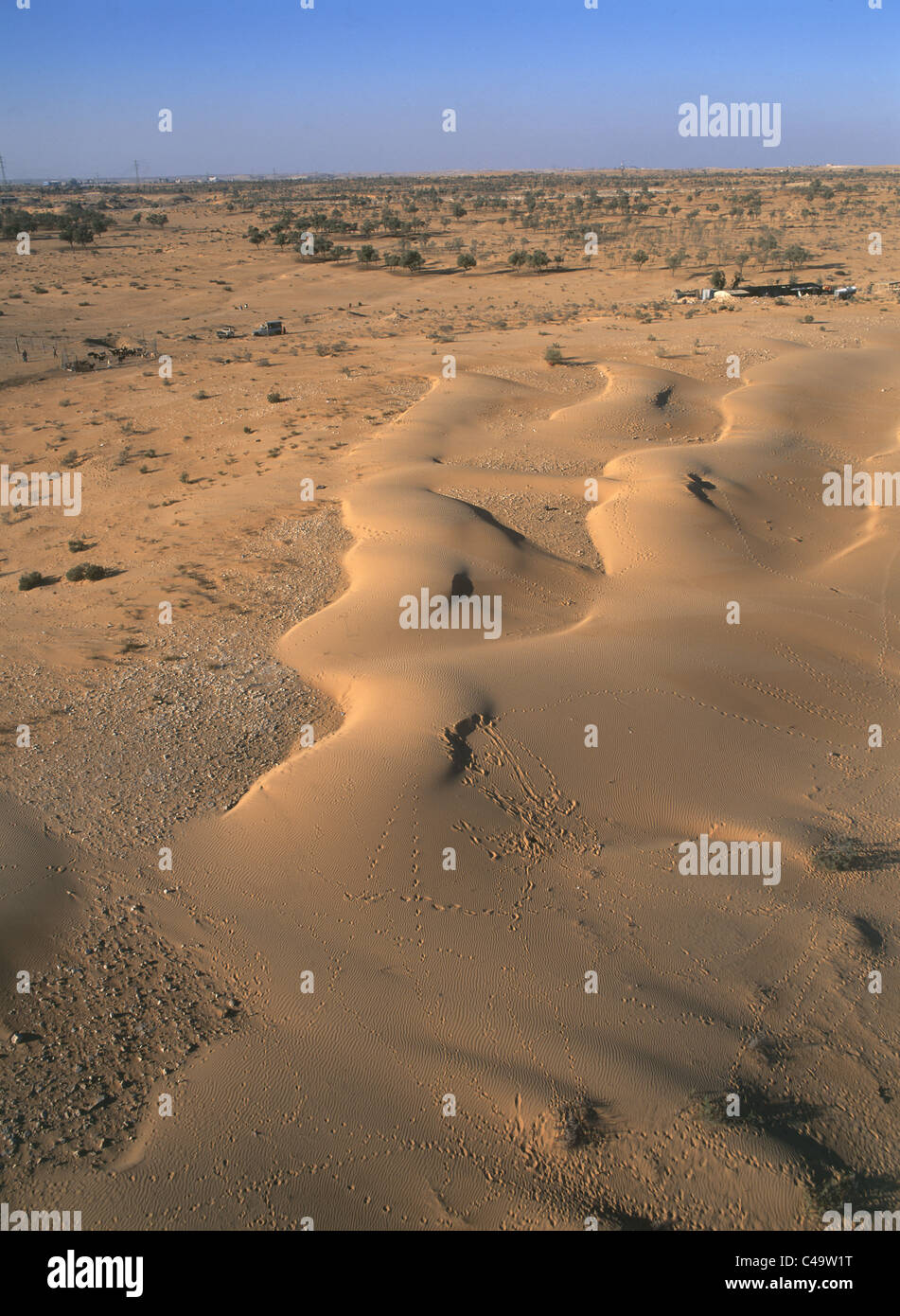Aerial photograph of the dunes of wadi Secher in the northern Negev ...