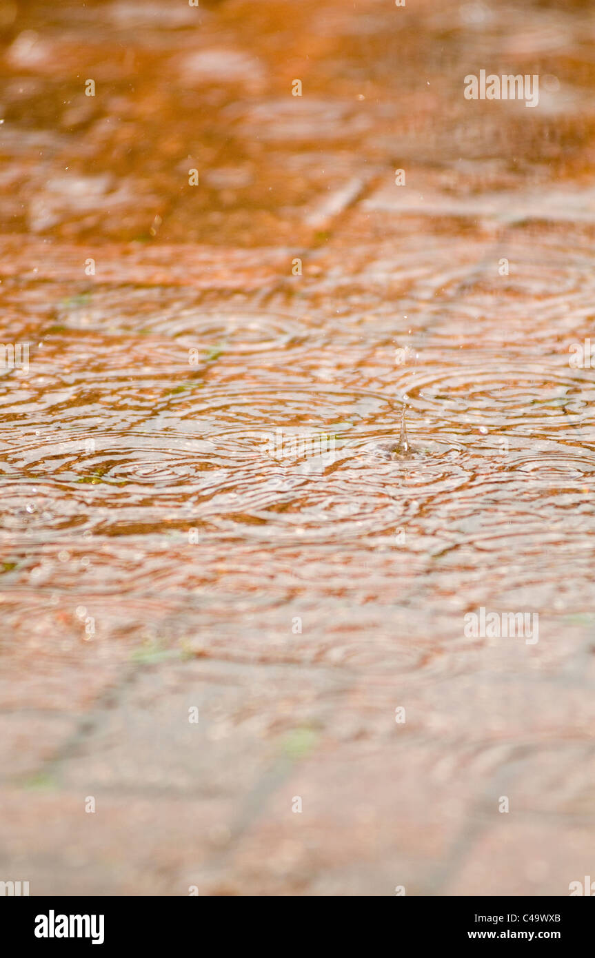 rain drop drops storm storms puddles splash splishing heavy downpour water fresh ripple ripples ...