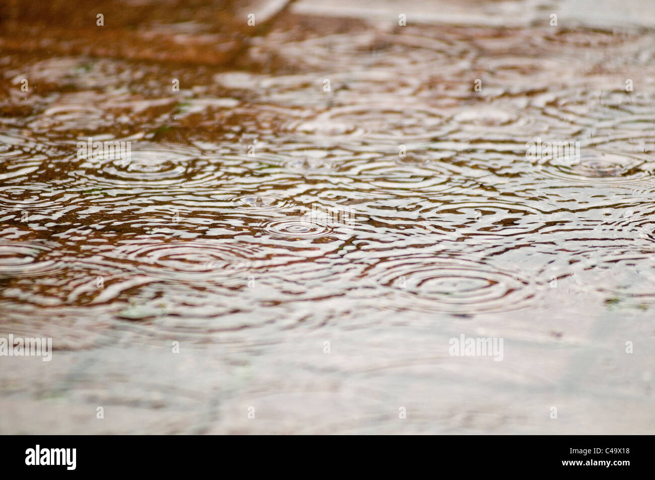 rain drop drops storm storms puddles splash splishing heavy downpour ...