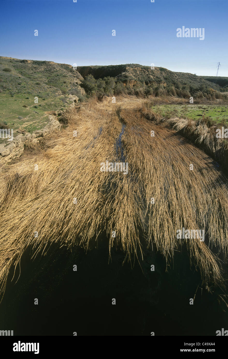 Aerial photograph of the Bsor stream in the Negev desert Stock Photo ...