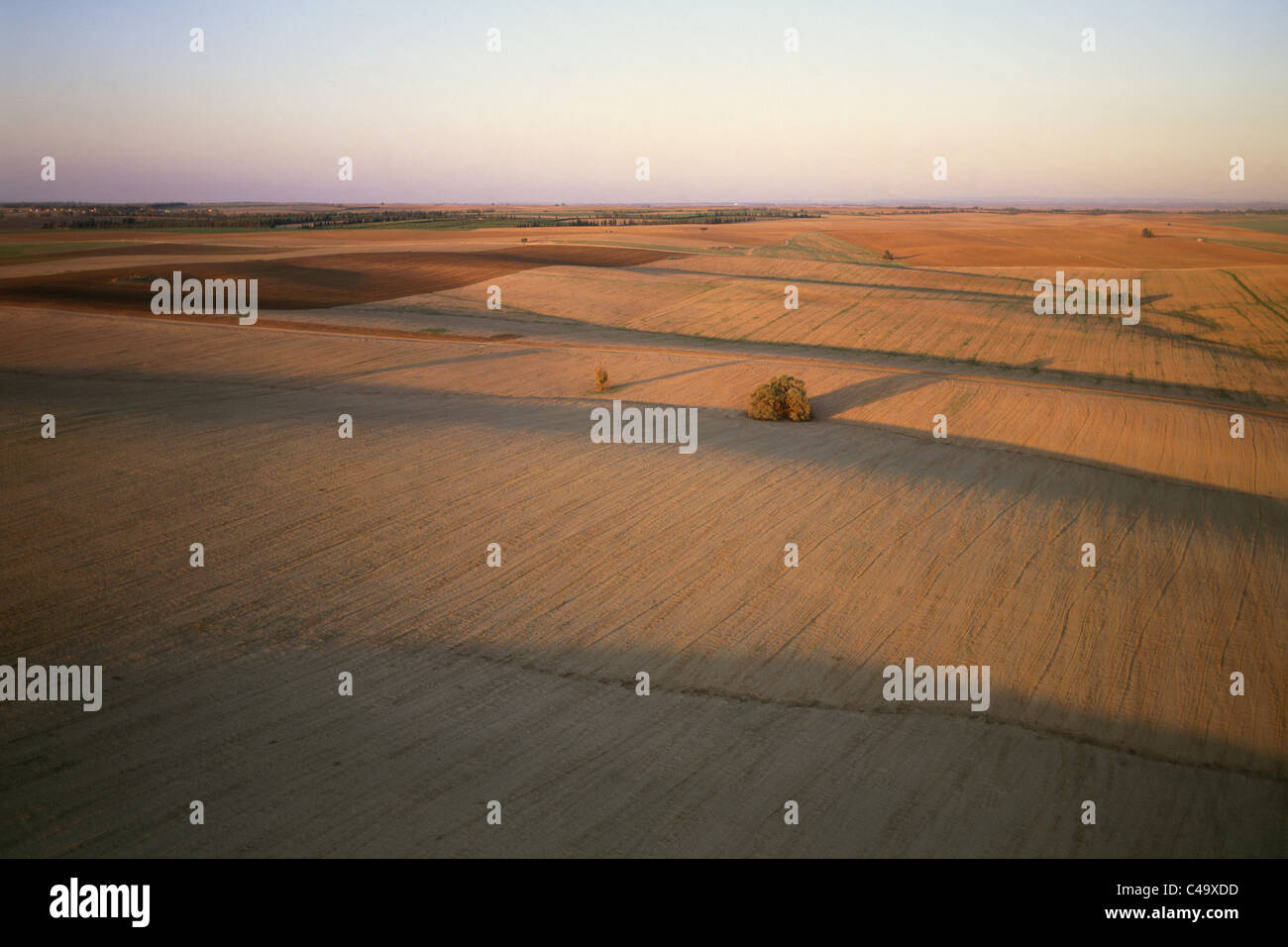 Aerial photograph of the Agricultre fields of the northern Negev Stock ...