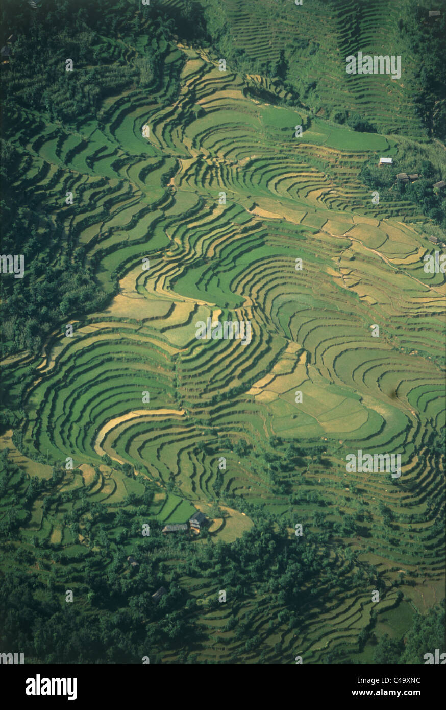 Aerial photograph of the agriculture fields in Tibet Stock Photo - Alamy