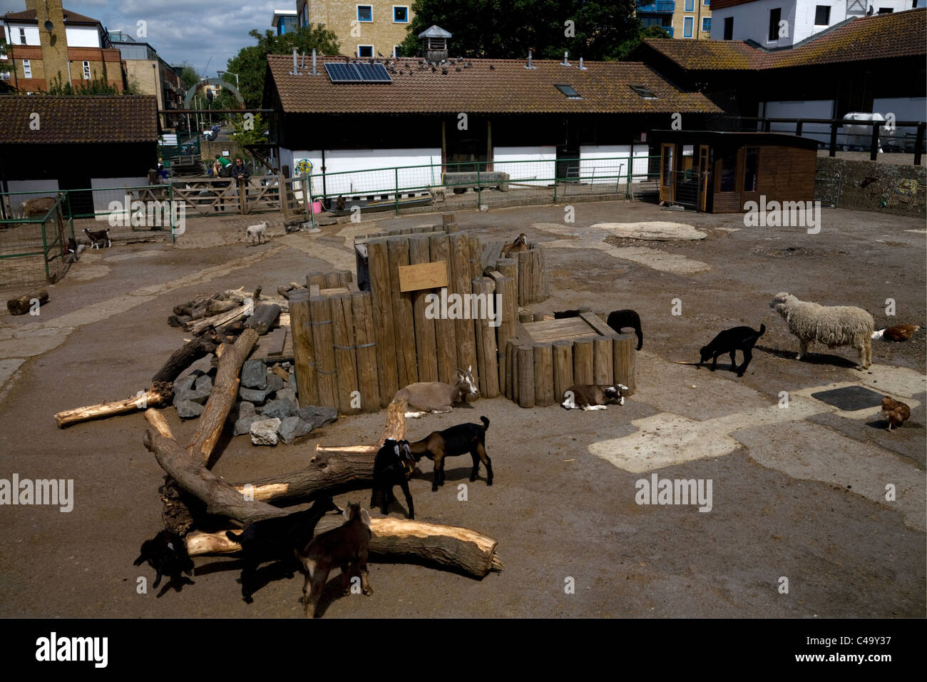 surrey docks farm rotherhithe southwark london england Stock Photo - Alamy