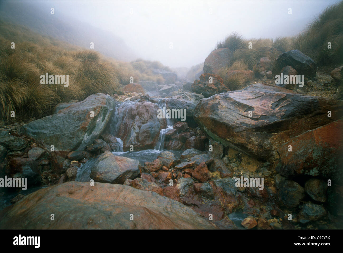 Photograph of a stream in New Zealand Stock Photo - Alamy