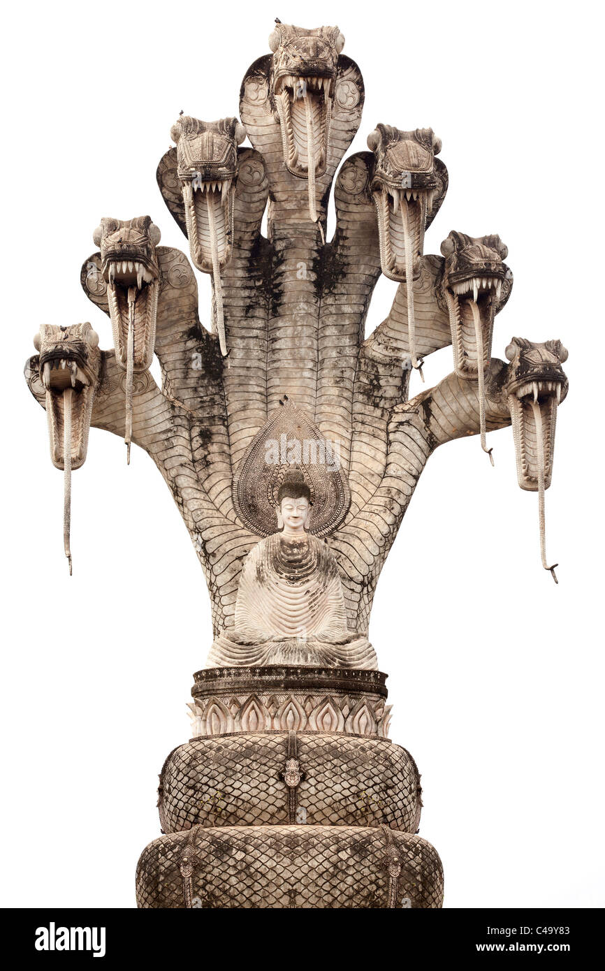 buddha sculpture and seven headed cobra isolated on white, wat khaek ...