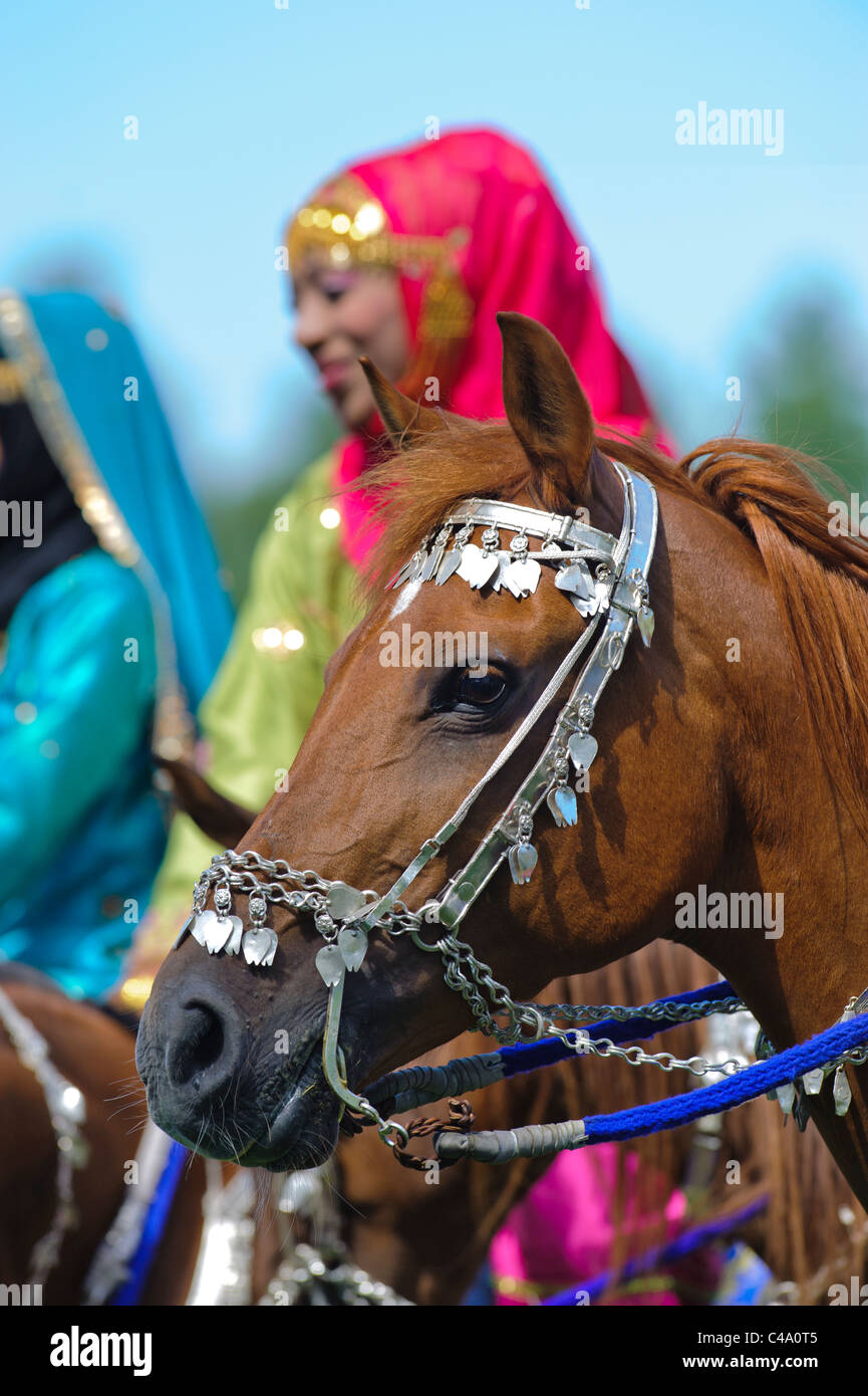 arabian Royal Cavalry of Oman in original costume on arabic horse while ...
