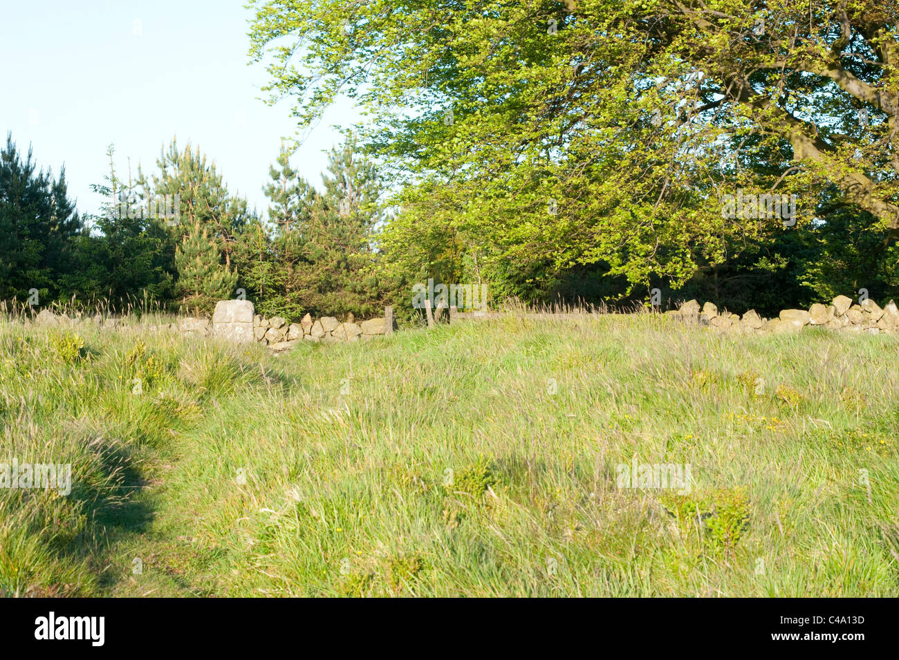 Stone wall dividing fields Stock Photo - Alamy