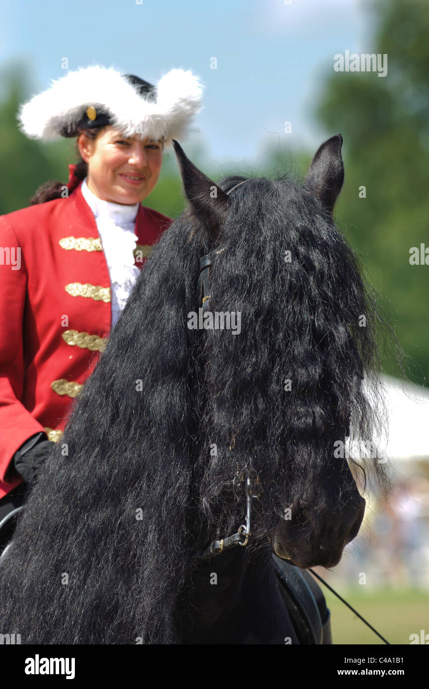 Baroque horse hi-res stock photography and images - Alamy