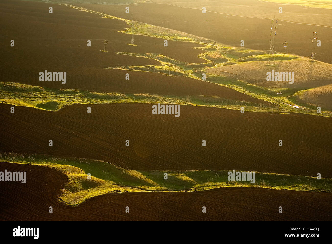 Aerial photograph of the Northern Negev's plowed fields at sunrise ...