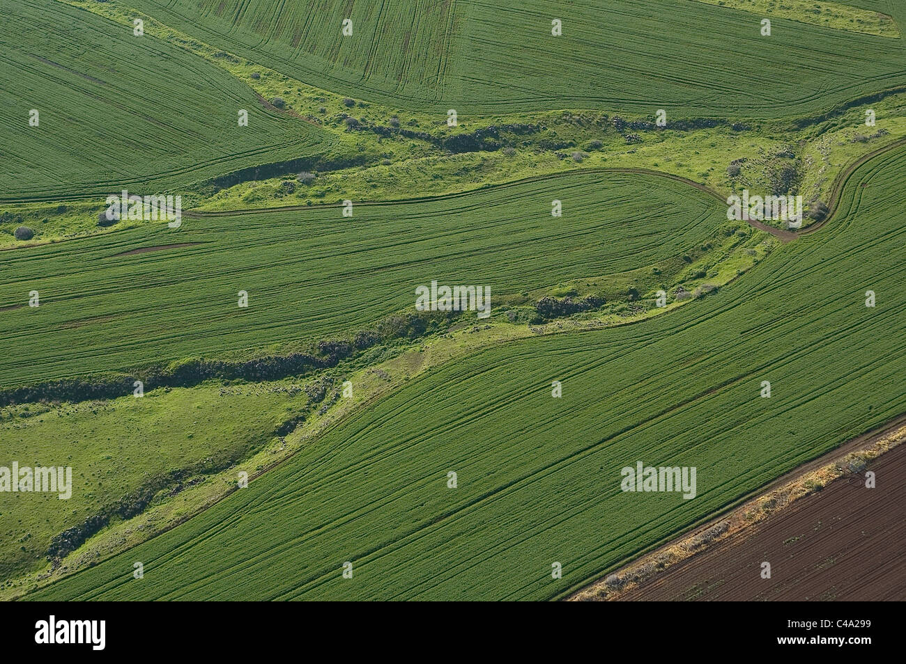 Aerial photograph of a green field in Israel Stock Photo - Alamy