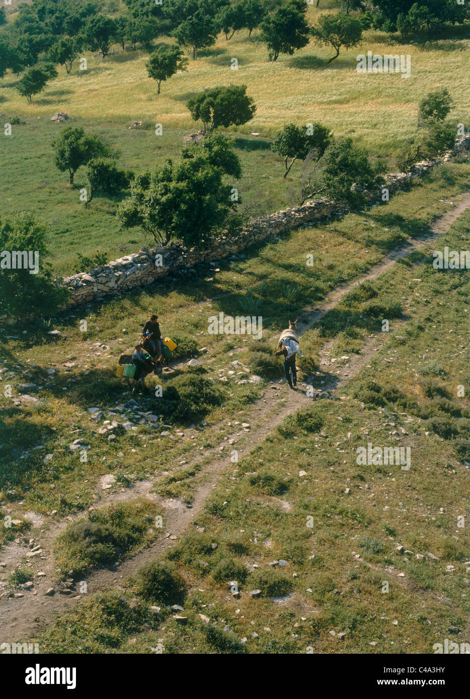 Aerial photograph of the agriculture fields of Samaria Stock Photo - Alamy